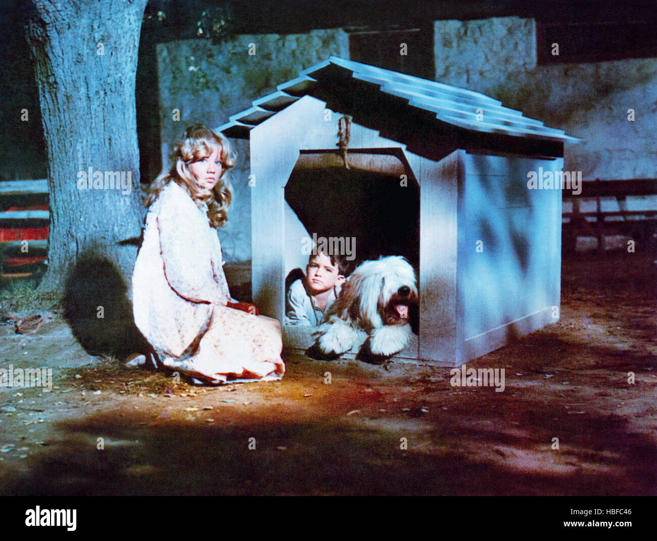 SUMMER MAGIC, from left, Hayley Mills, Jimmy Mathers, 1963 Stock Photo ...