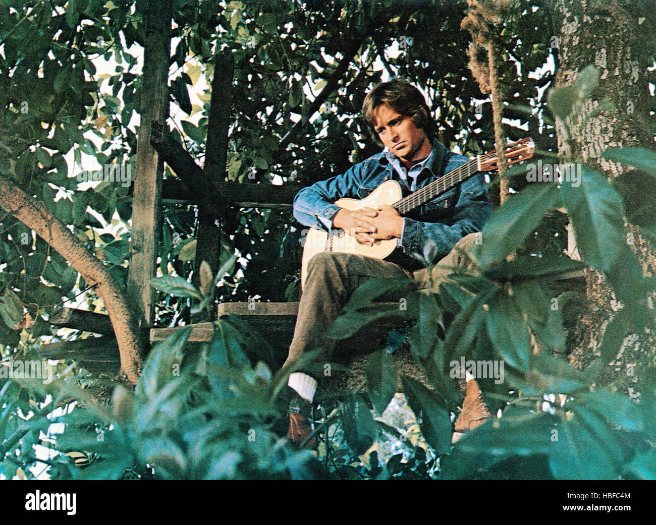 SUMMERTREE, Michael Douglas, 1971 Stock Photo - Alamy