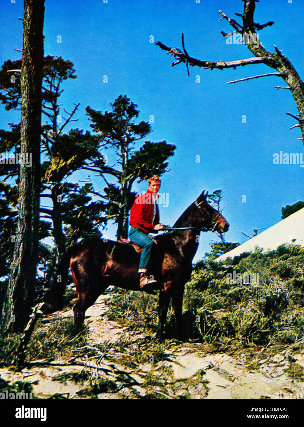 SUSAN SLADE, Troy Donohue, 1961 Stock Photo - Alamy