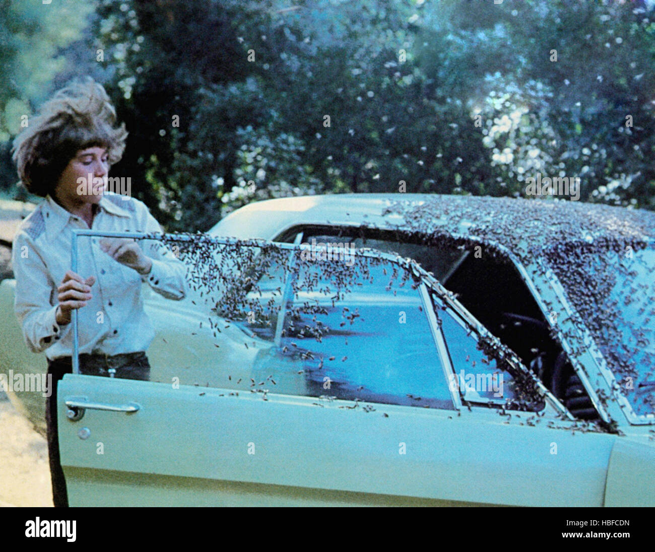 THE SWARM, Christian Juttner, 1978, © Warner Brothers/courtesy Everett ...