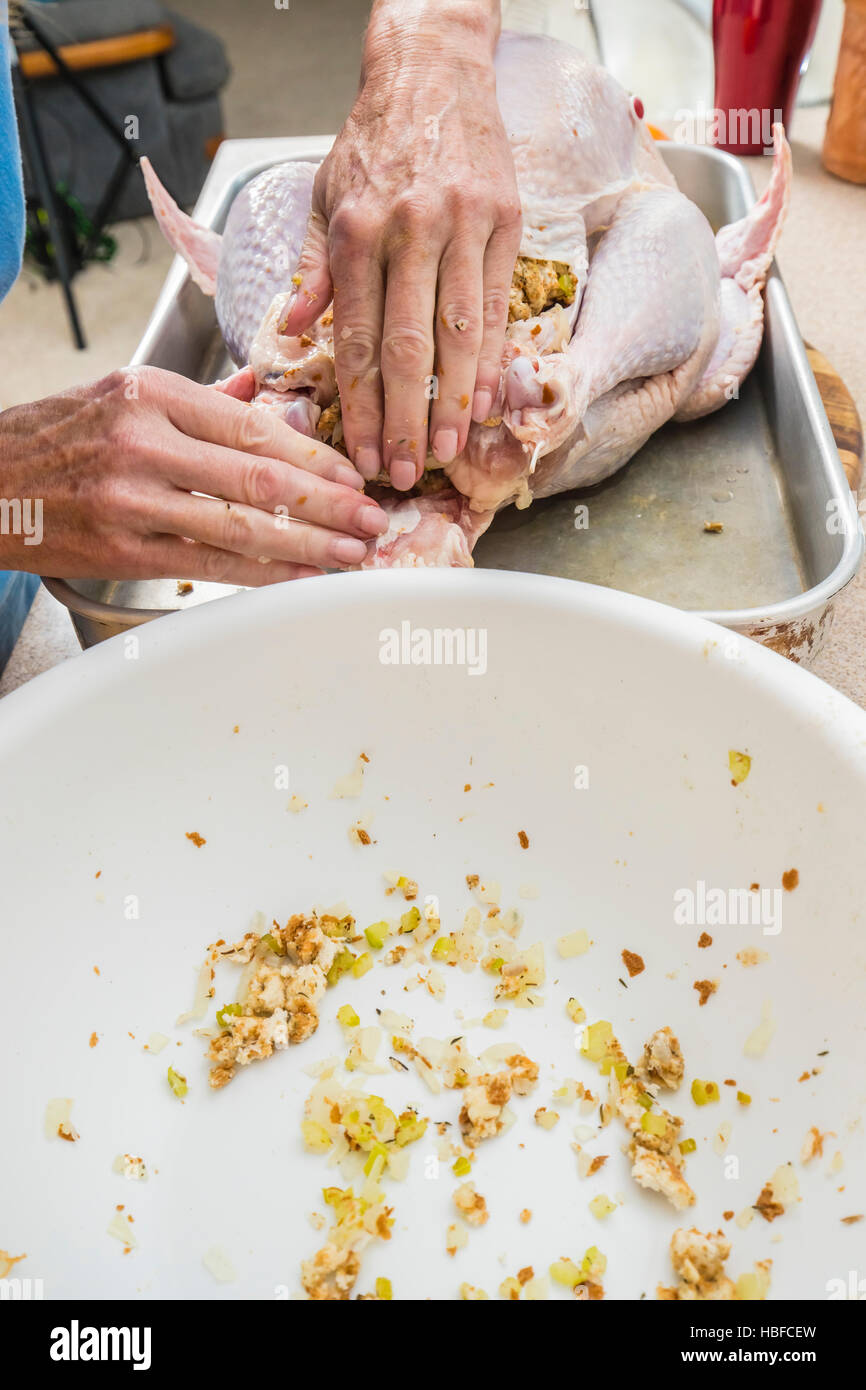 woman stuffing turkey for thanksgiving Stock Photo - Alamy