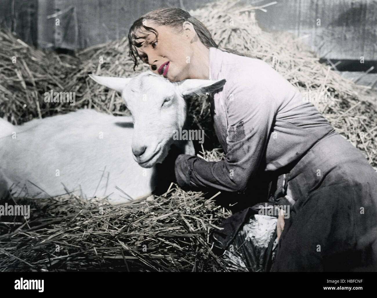 Debbie reynolds 1957 hi-res stock photography and images - Alamy