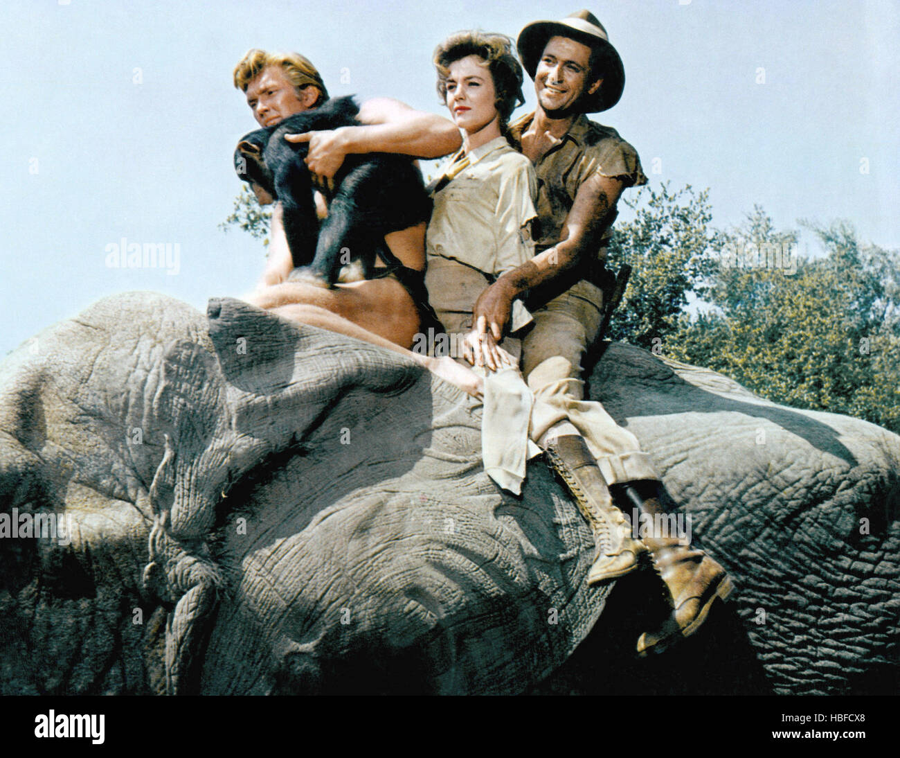 Tarzan The Ape Man 1959 Tarzan The Ape Man (MGM, 1959) | #441731286