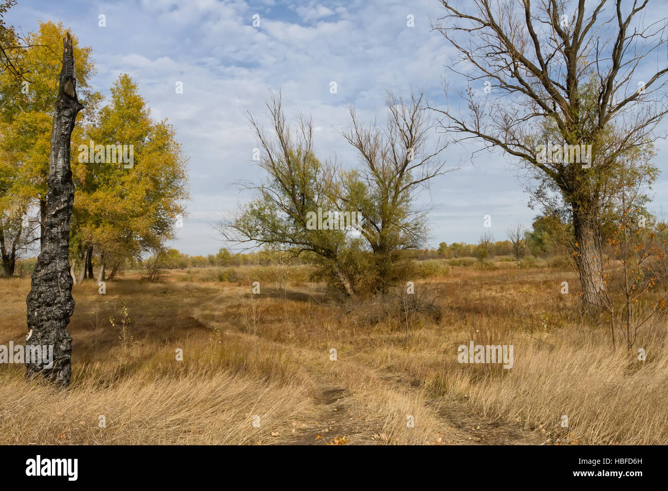 Volgo akhtuba hi-res stock photography and images - Alamy