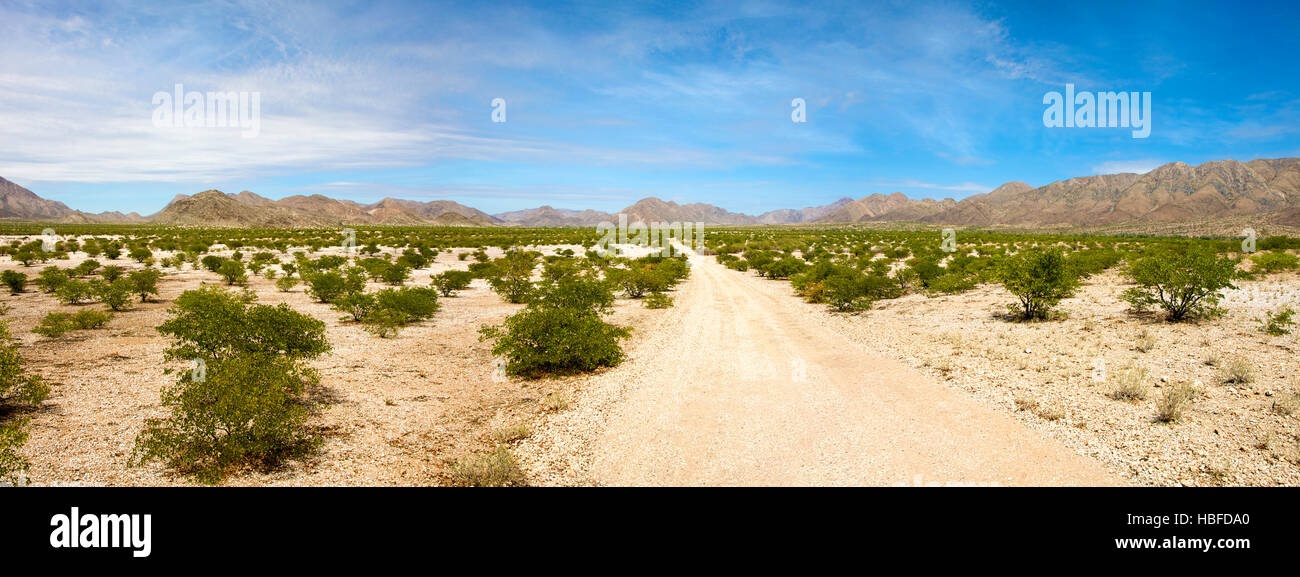 Kaokoland desert road, Namibia Stock Photo - Alamy Kaokoland desert road, Namibia Stock Photo - Alamy