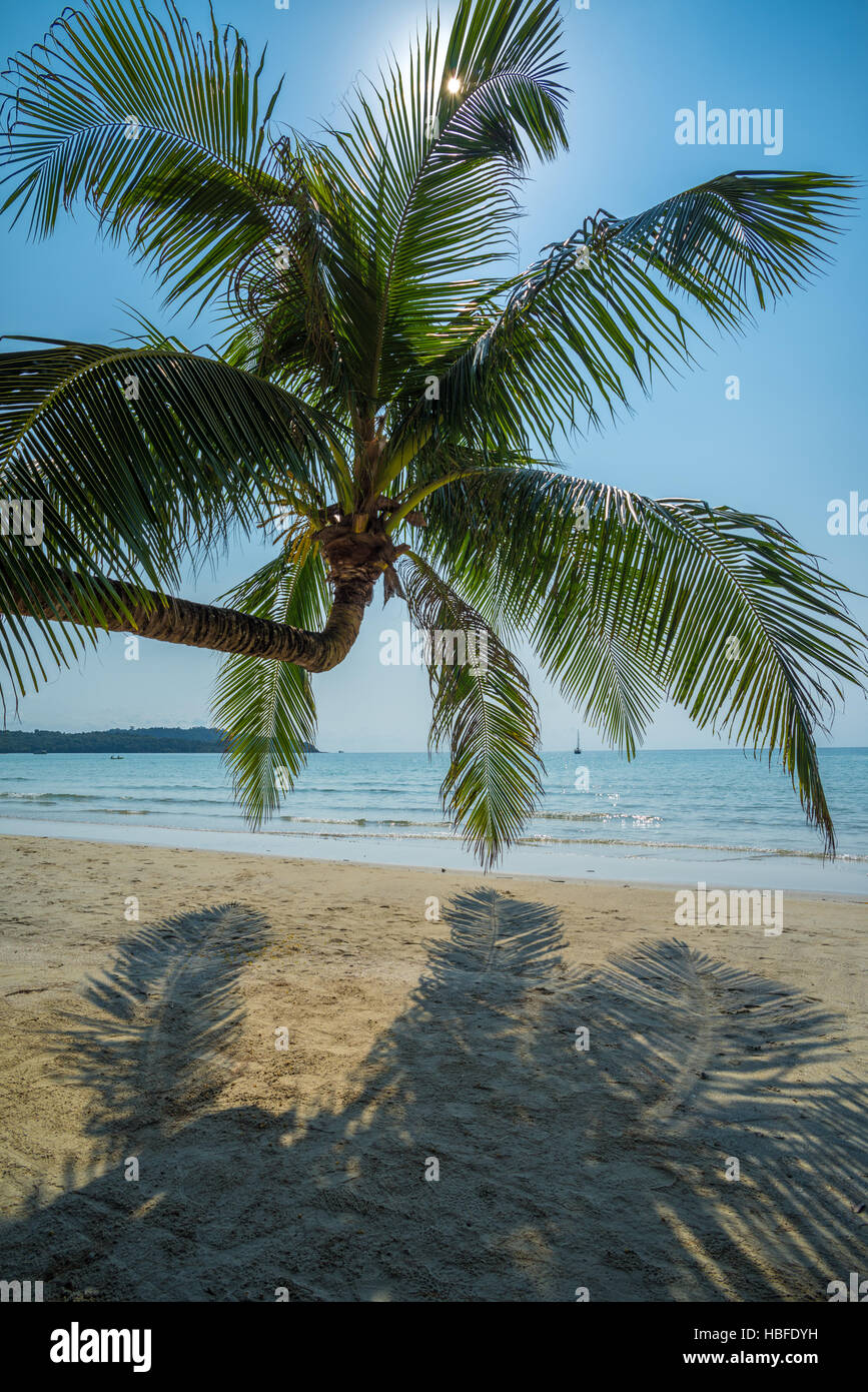 Coco palm beach resort hi-res stock photography and images - Alamy