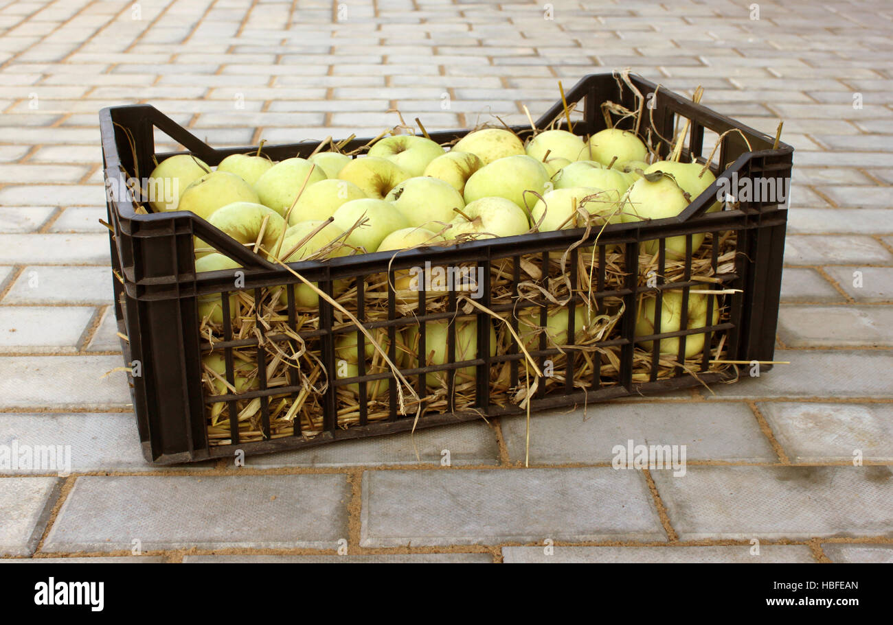 Plastic apples hi-res stock photography and images - Alamy