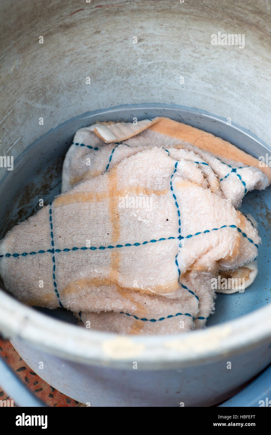 A dirty rag in a blue bucket full of water Stock Photo - Alamy