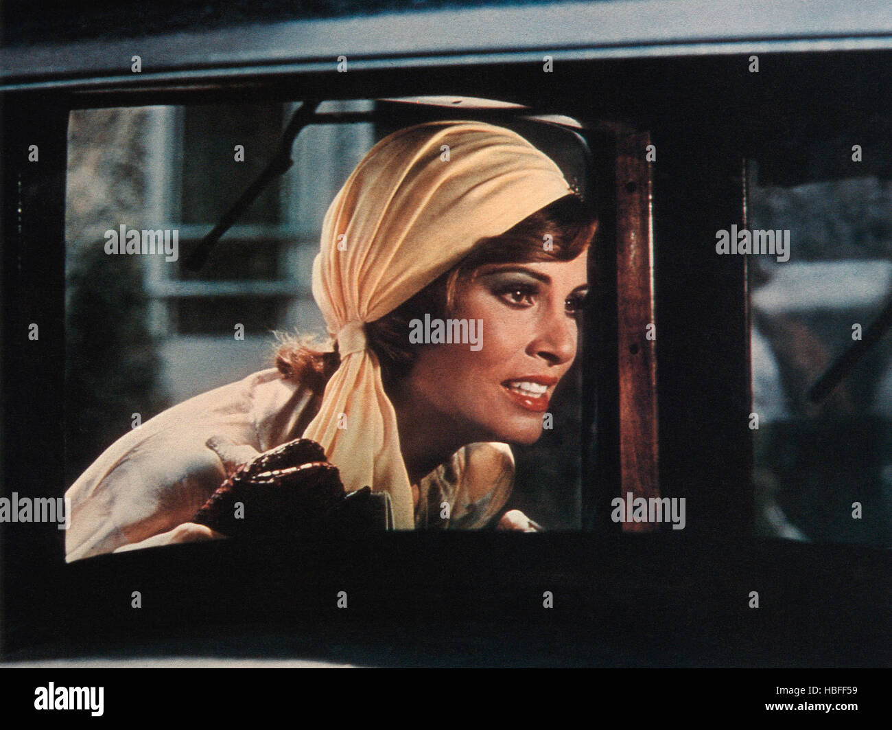 THE WILD PARTY, Raquel Welch, 1975 Stock Photo - Alamy