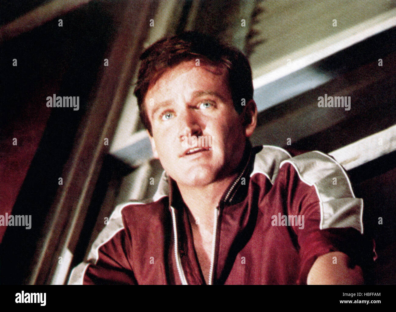 THE WORLD ACCORDING TO GARP, Robin Williams, 1982, © Warner Brothers ...