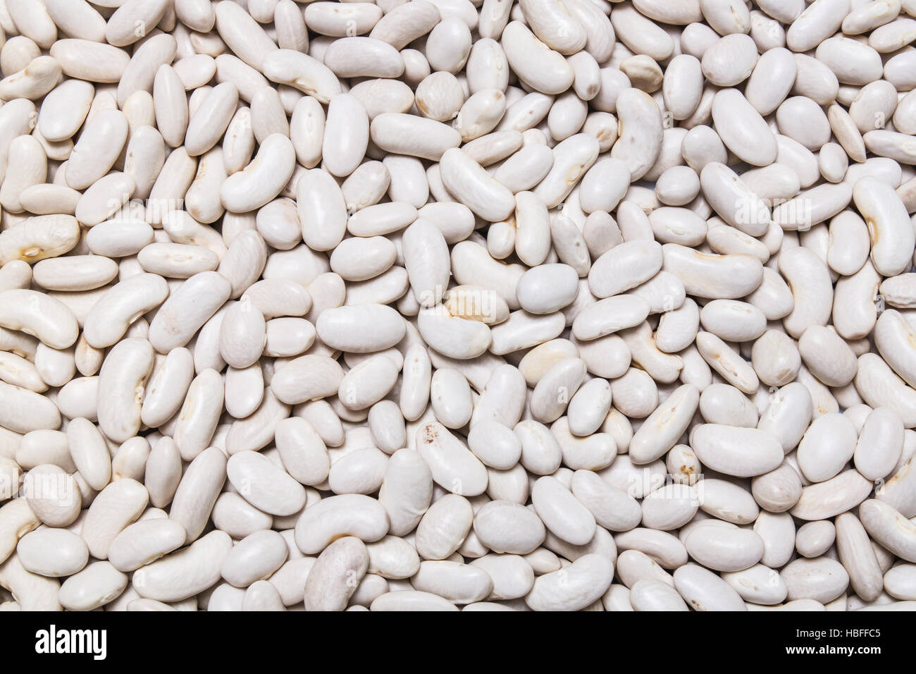 white bean background, texture Stock Photo - Alamy