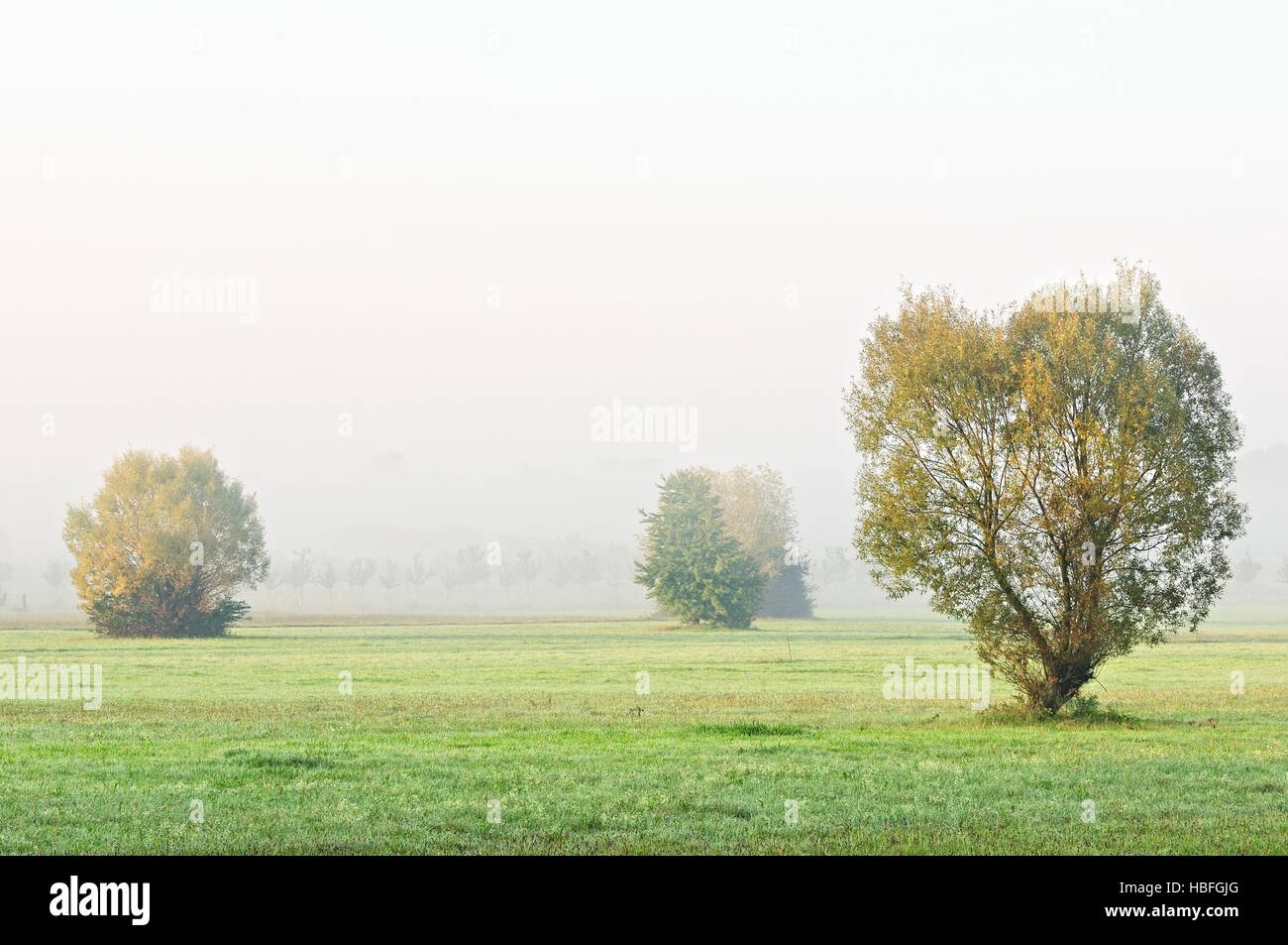 Mist patches hi-res stock photography and images - Alamy