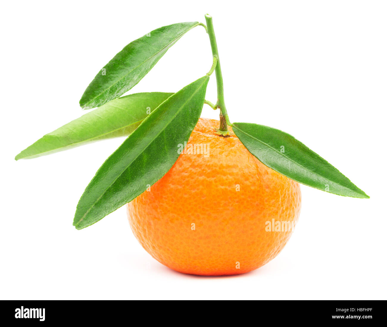 Mandarin fruit with leaf isolated on white background Stock Photo - Alamy
