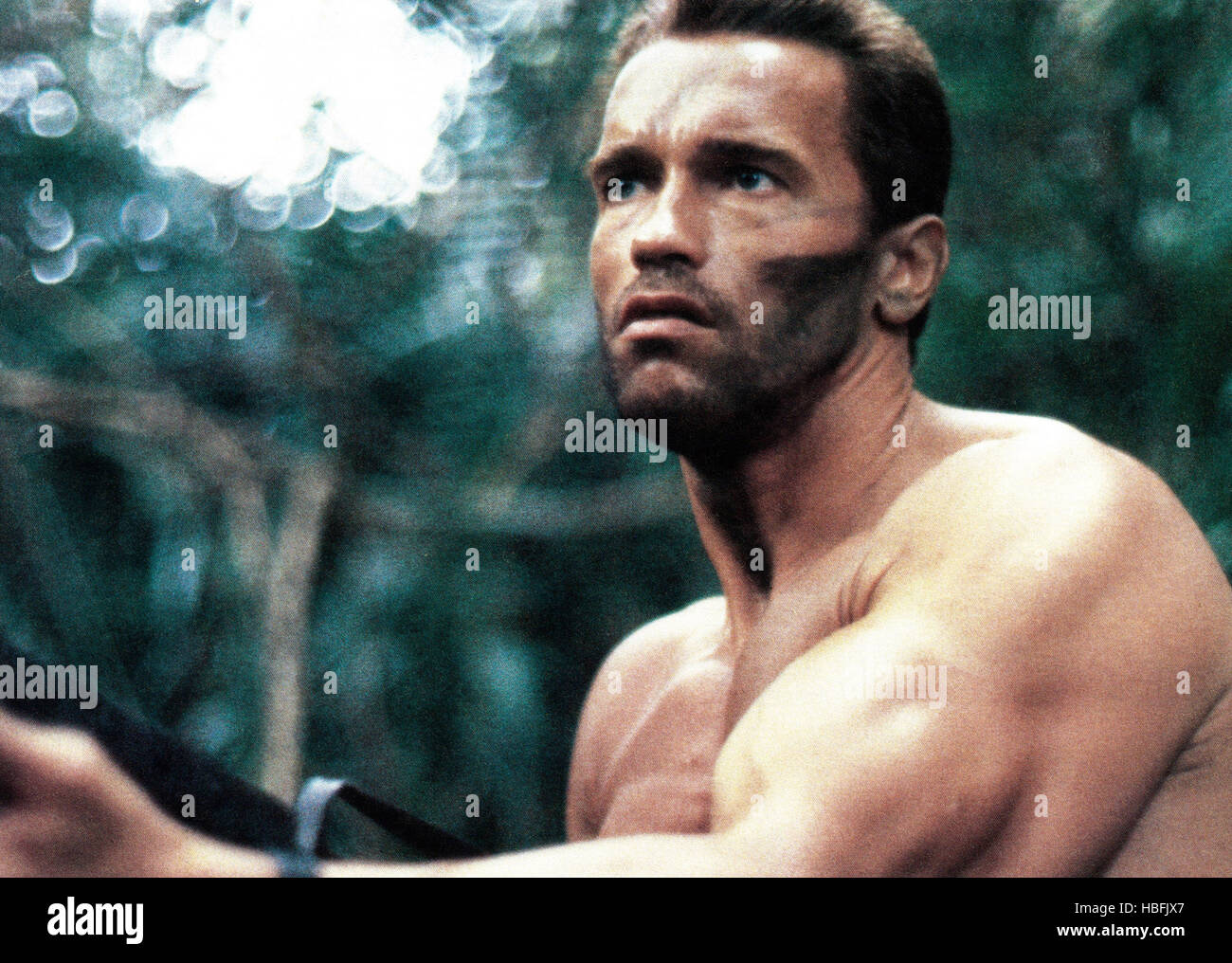 PREDATOR, Arnold Schwarzenegger, 1987, TM & Copyright © 20th Century ...