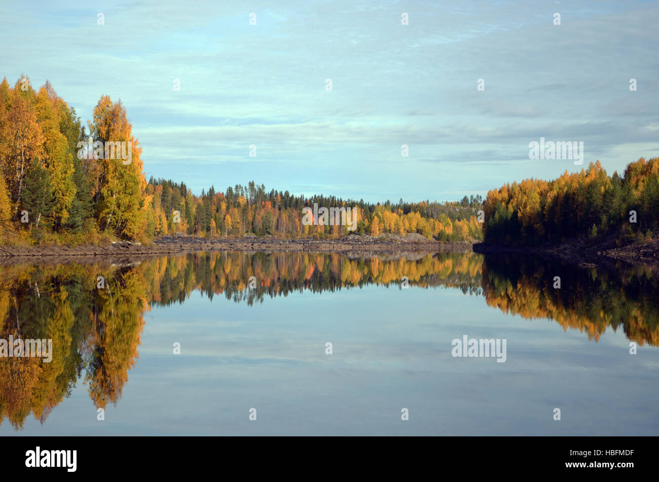 Forest in autumn colors reflecting in water, picture from the North of ...