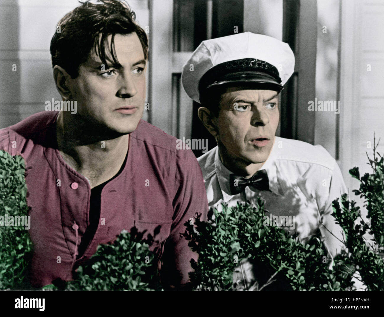 SEND ME NO FLOWERS, from left, Rock Hudson, Dave Willock, 1964 Stock ...