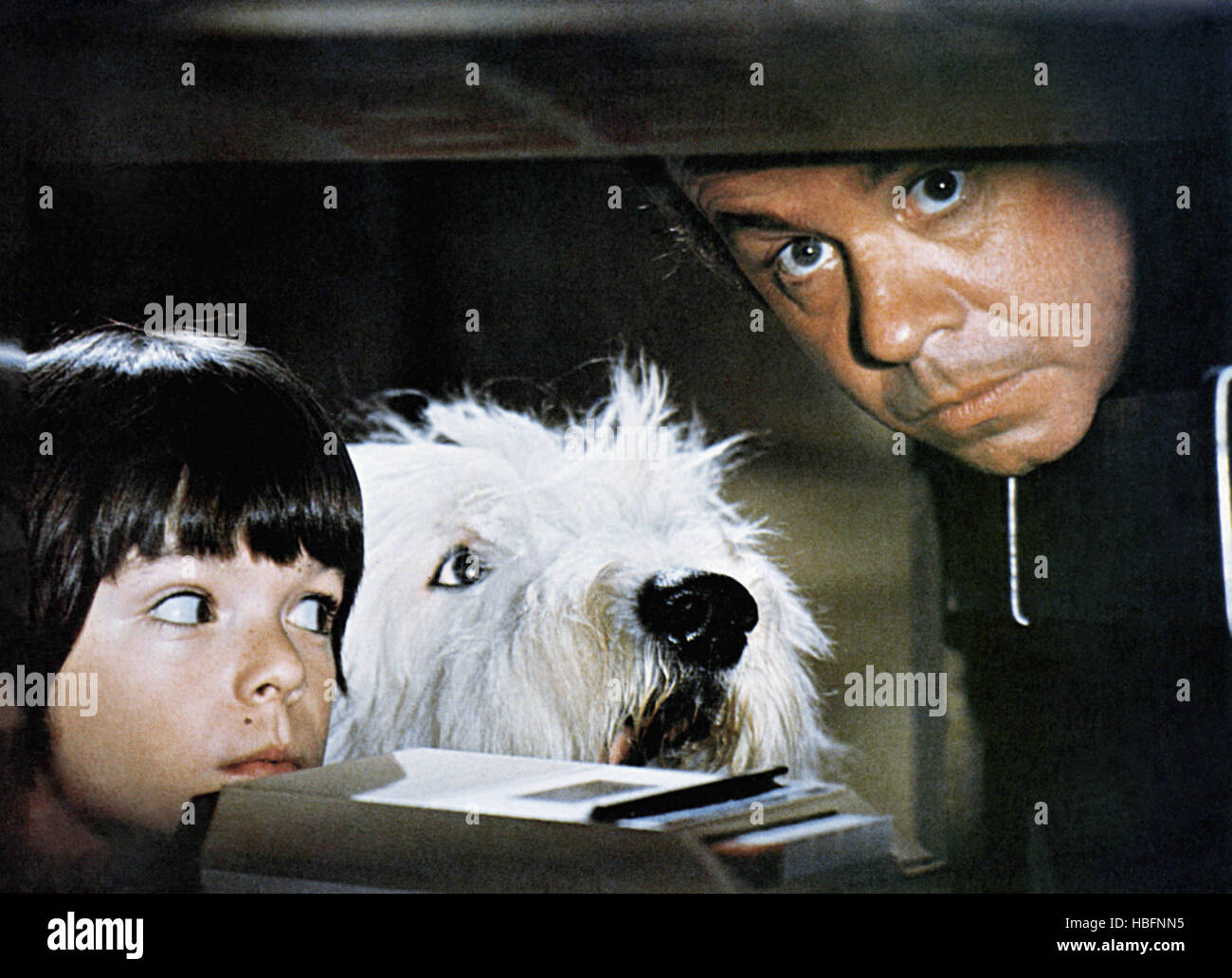 THE SHAGGY D.A., from left, Shane Sinutko, Tim Conway, 1976 Stock Photo ...