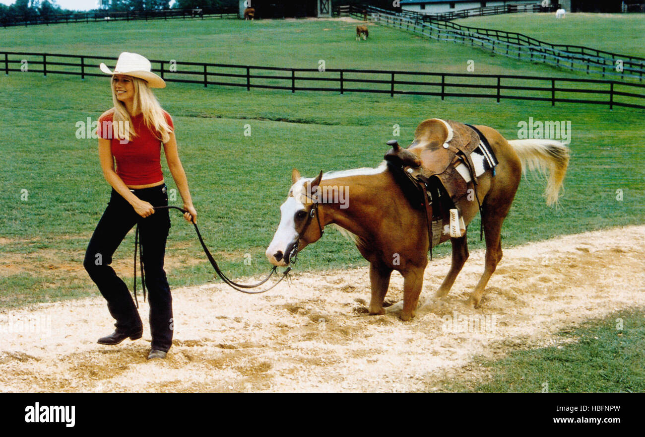 SHALLOW HAL, Gwyneth Paltrow, 2001, TM & © 20th Century Fox Film Corp ...