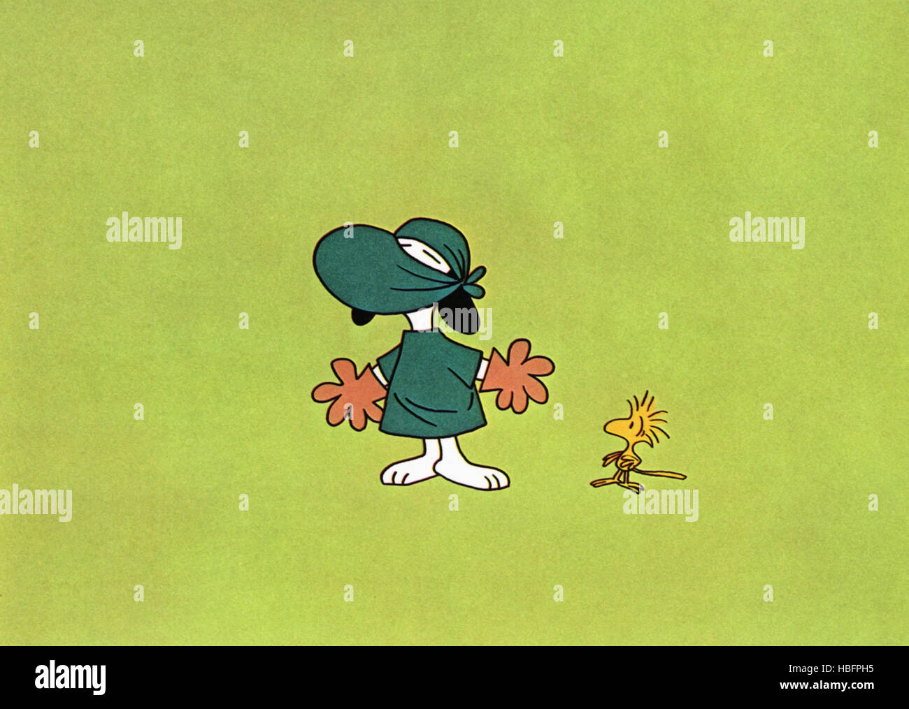 SNOOPY, COME HOME, Snoopy, Woodstock, 1972 Stock Photo - Alamy