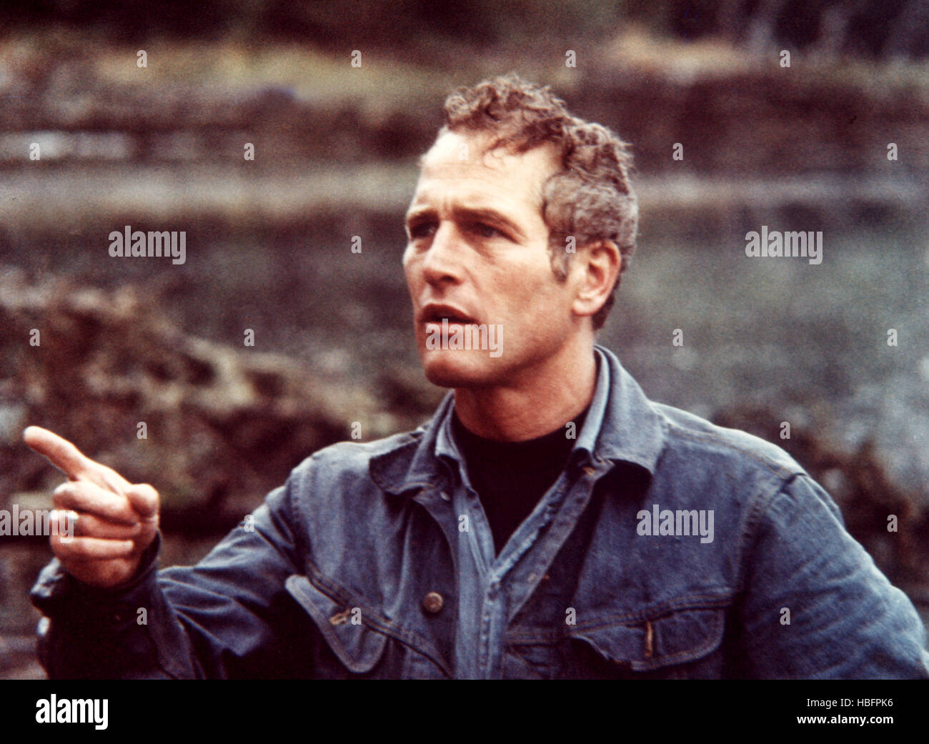 SOMETIMES A GREAT NOTION, Paul Newman, 1971 Stock Photo - Alamy
