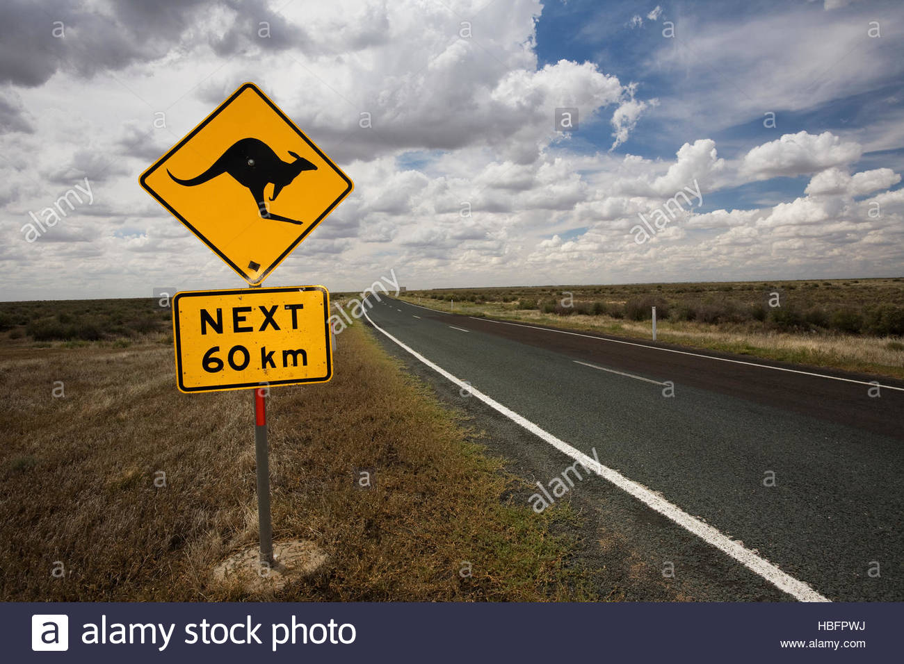 Kangaroo Crossing Road High Resolution Stock Photography and Images - Alamy
