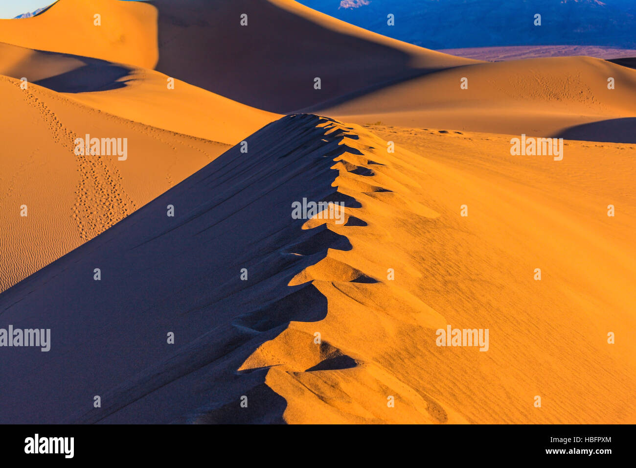 Desert sandy hi-res stock photography and images - Alamy