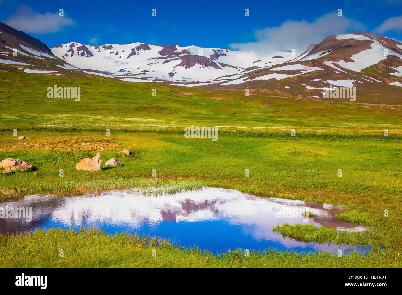 Overgrown fields hi-res stock photography and images - Alamy