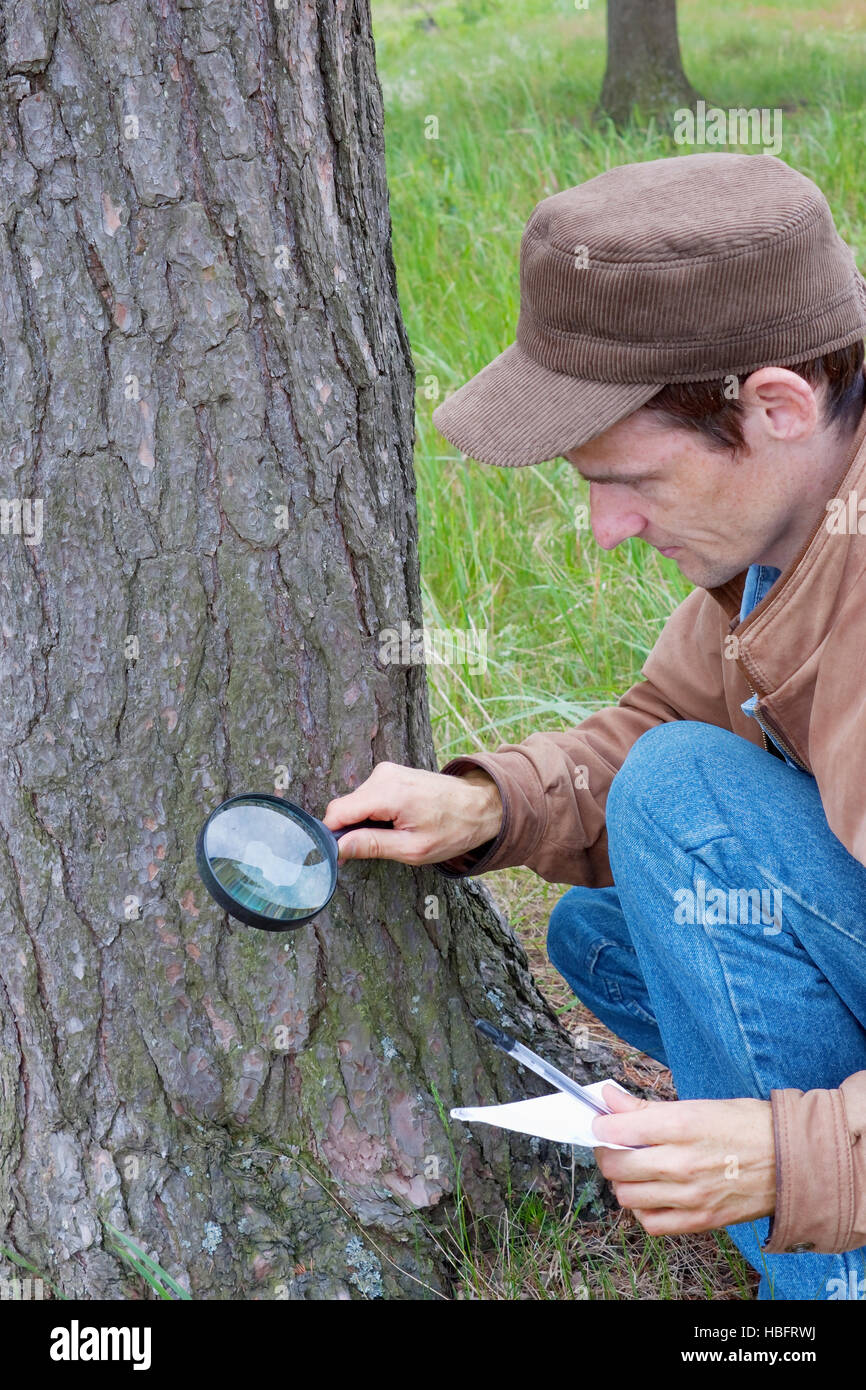 Tree of learning green hi-res stock photography and images - Alamy