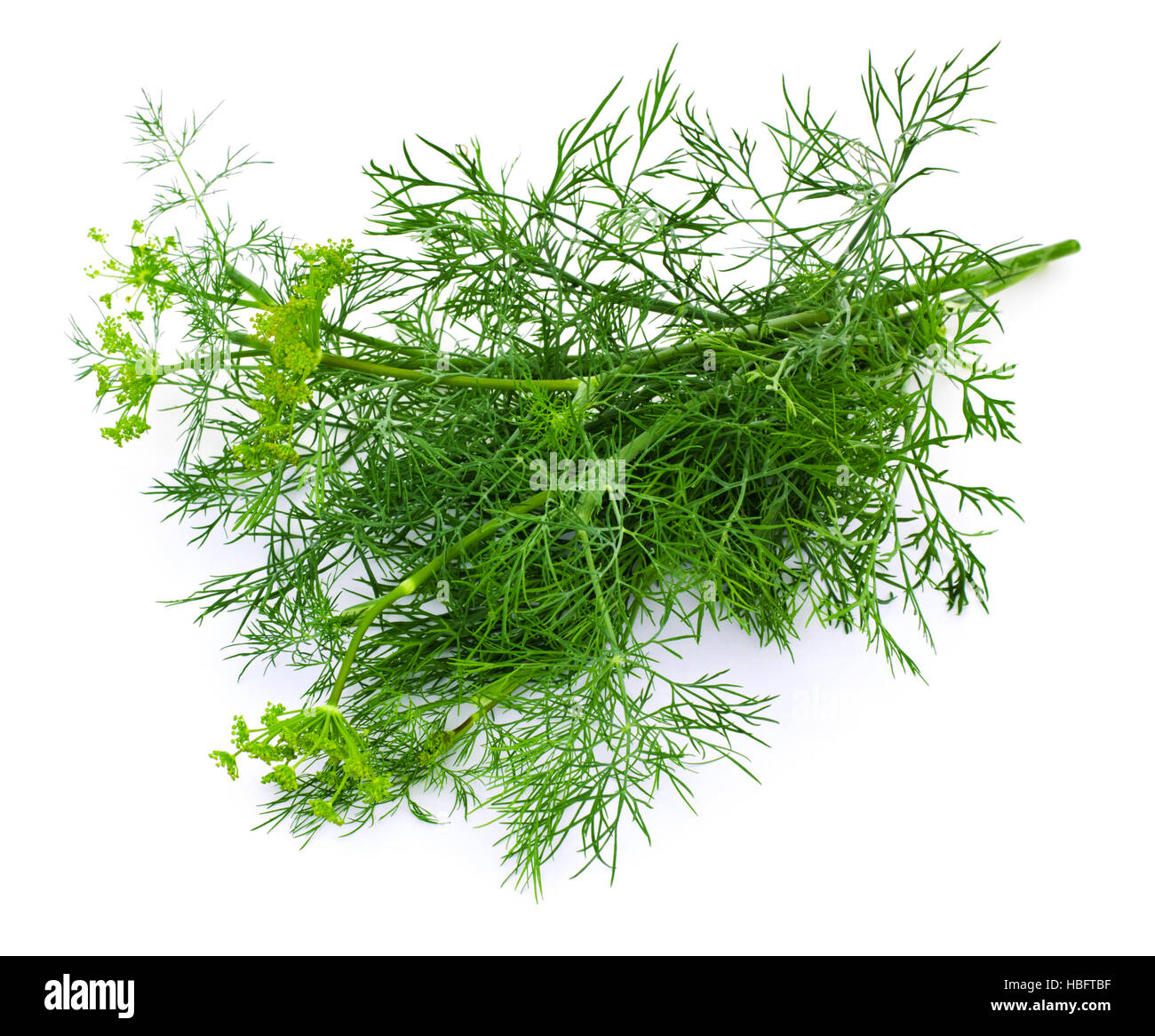 Dill on a white background Stock Photo - Alamy