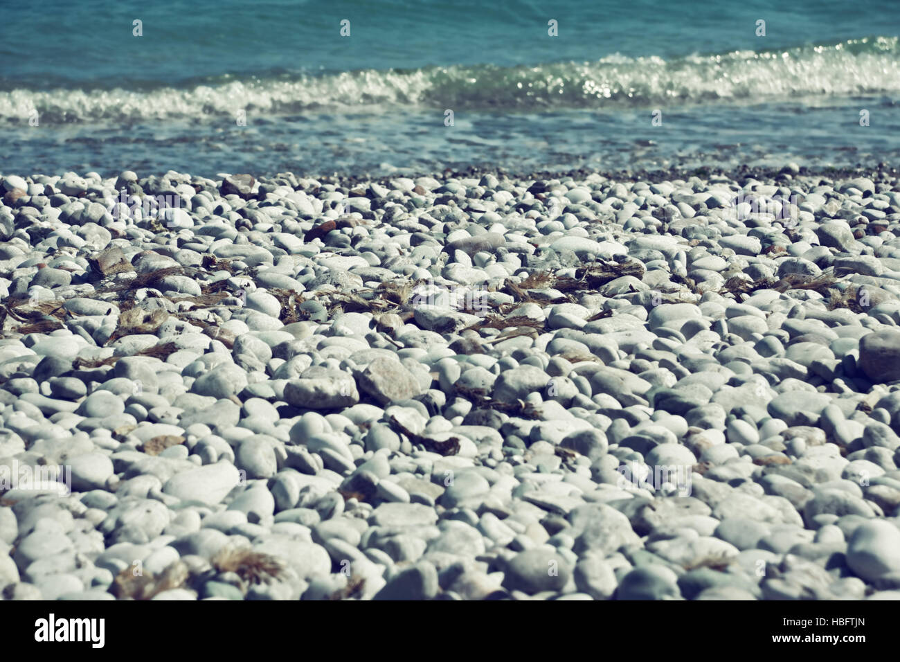Pebble beach closeup Stock Photo - Alamy