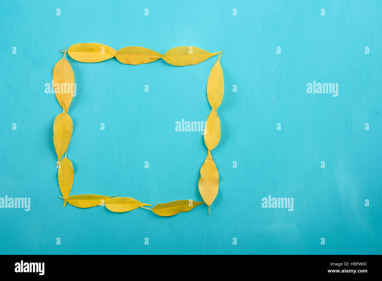 Square leaves hi-res stock photography and images - Alamy