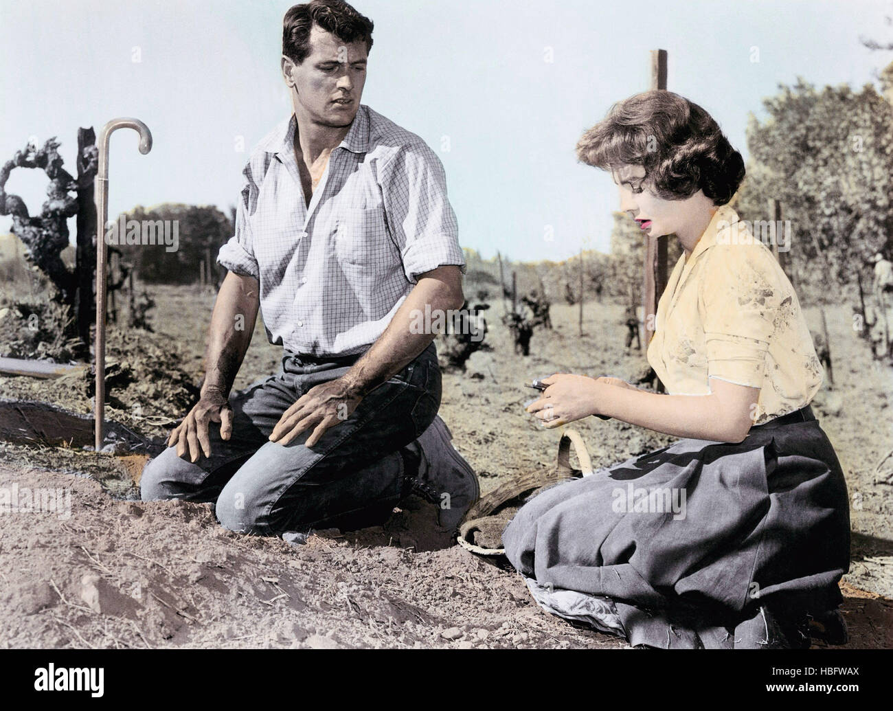 THIS EARTH IS MINE, from left, Rock Hudson, Jean Simmons, 1959 Stock ...