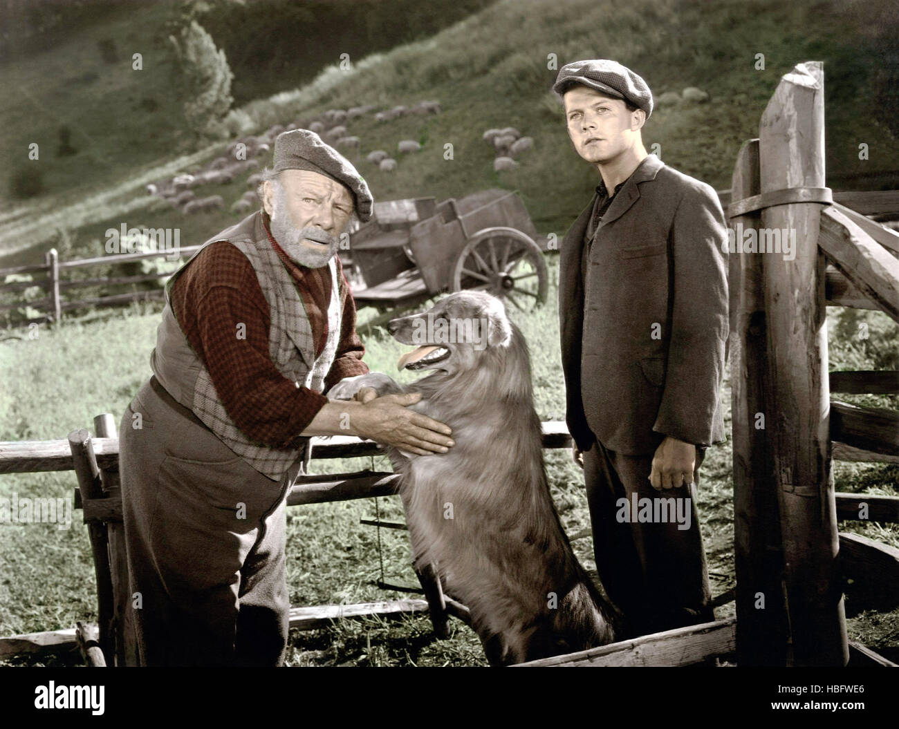 THUNDER IN THE VALLEY, (aka BOB, SON OF BATTLE), from left: Edmund ...