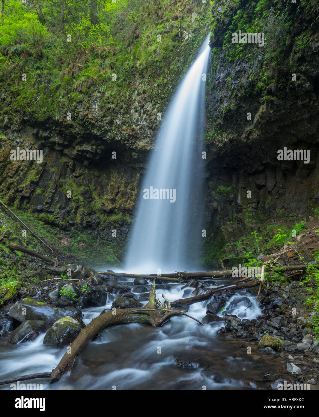 Upper Latourell falls is above the more famoue lower latourell falls in ...