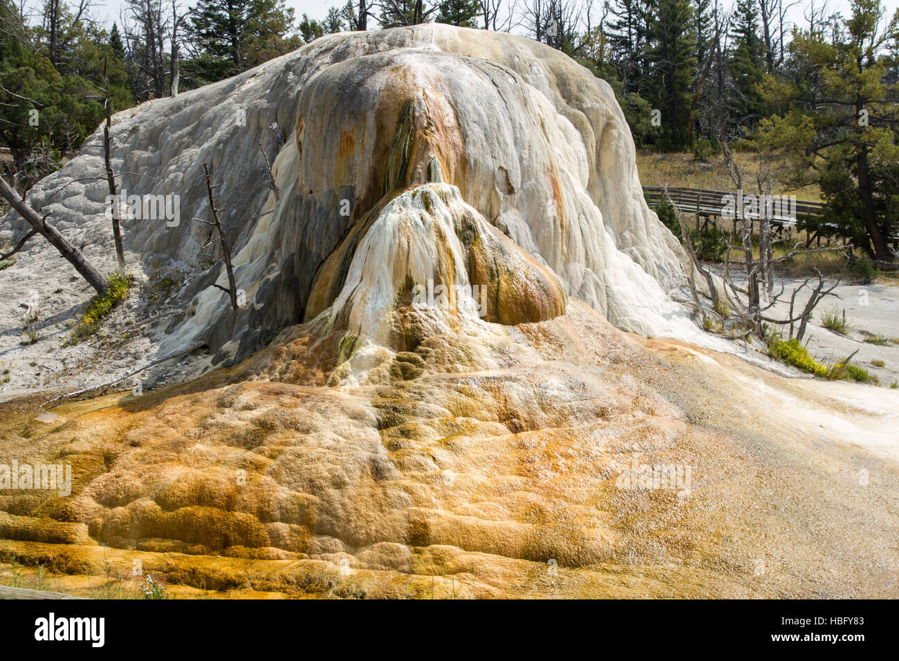 Mound spring hi-res stock photography and images - Alamy