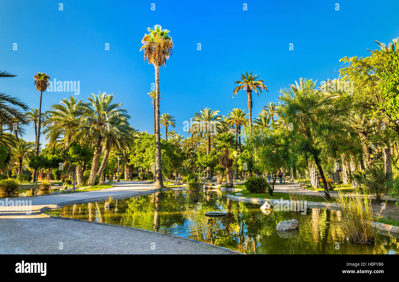 The Palmeral of Elche, Spain, one of the largest in the world. UNESCO ...