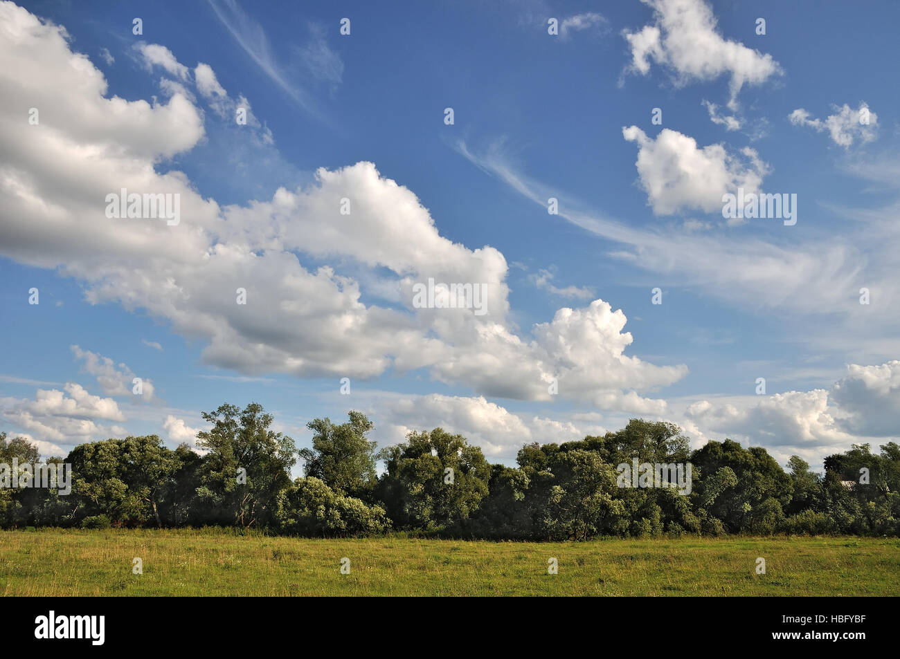 Summer landscape background Stock Photo - Alamy
