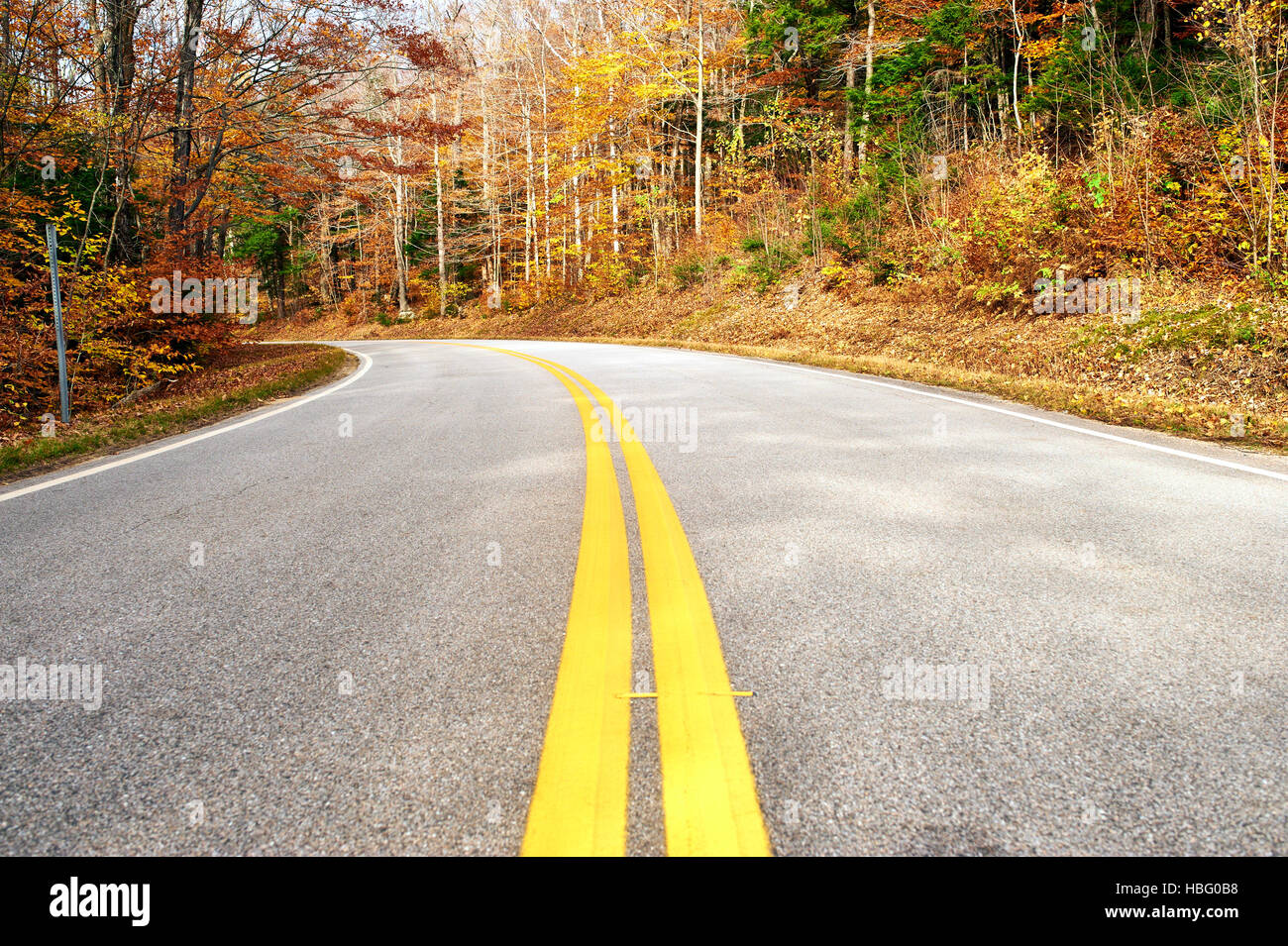 Autumn scene with road Stock Photo - Alamy