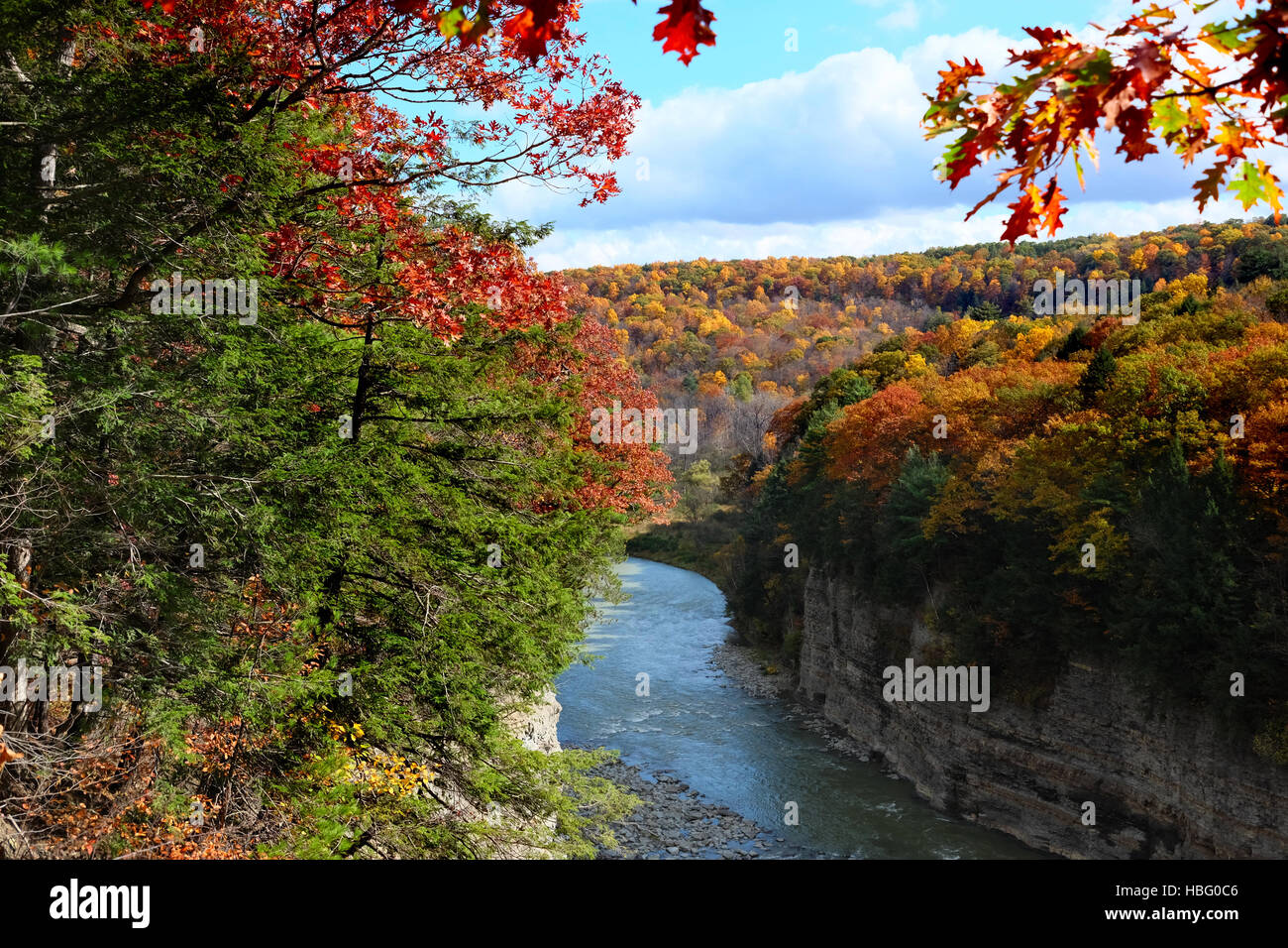 Autumn scene of river and forest Stock Photo - Alamy