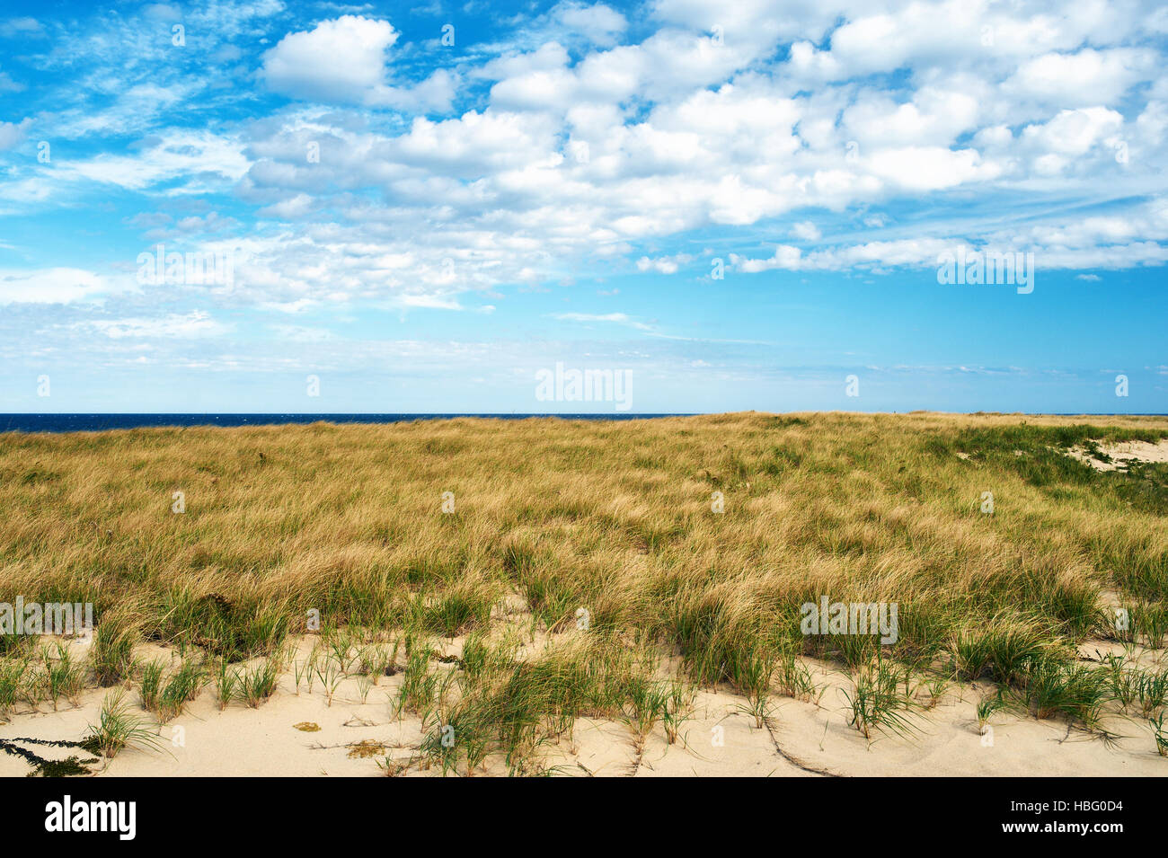 Landscape with sand dunes at Cape Cod Stock Photo - Alamy
