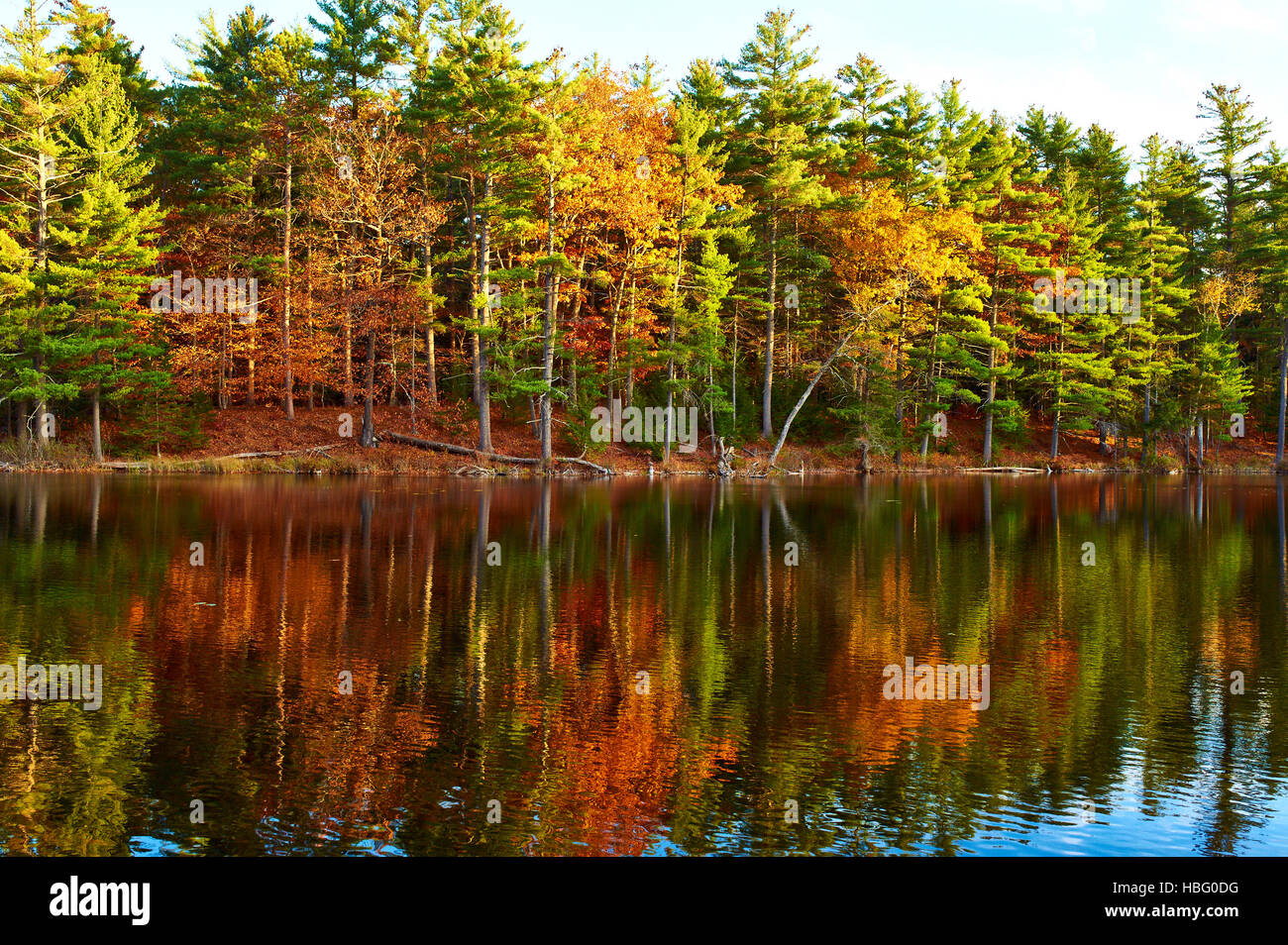 Pond in White Mountain National Forest, New Hampshire Stock Photo - Alamy