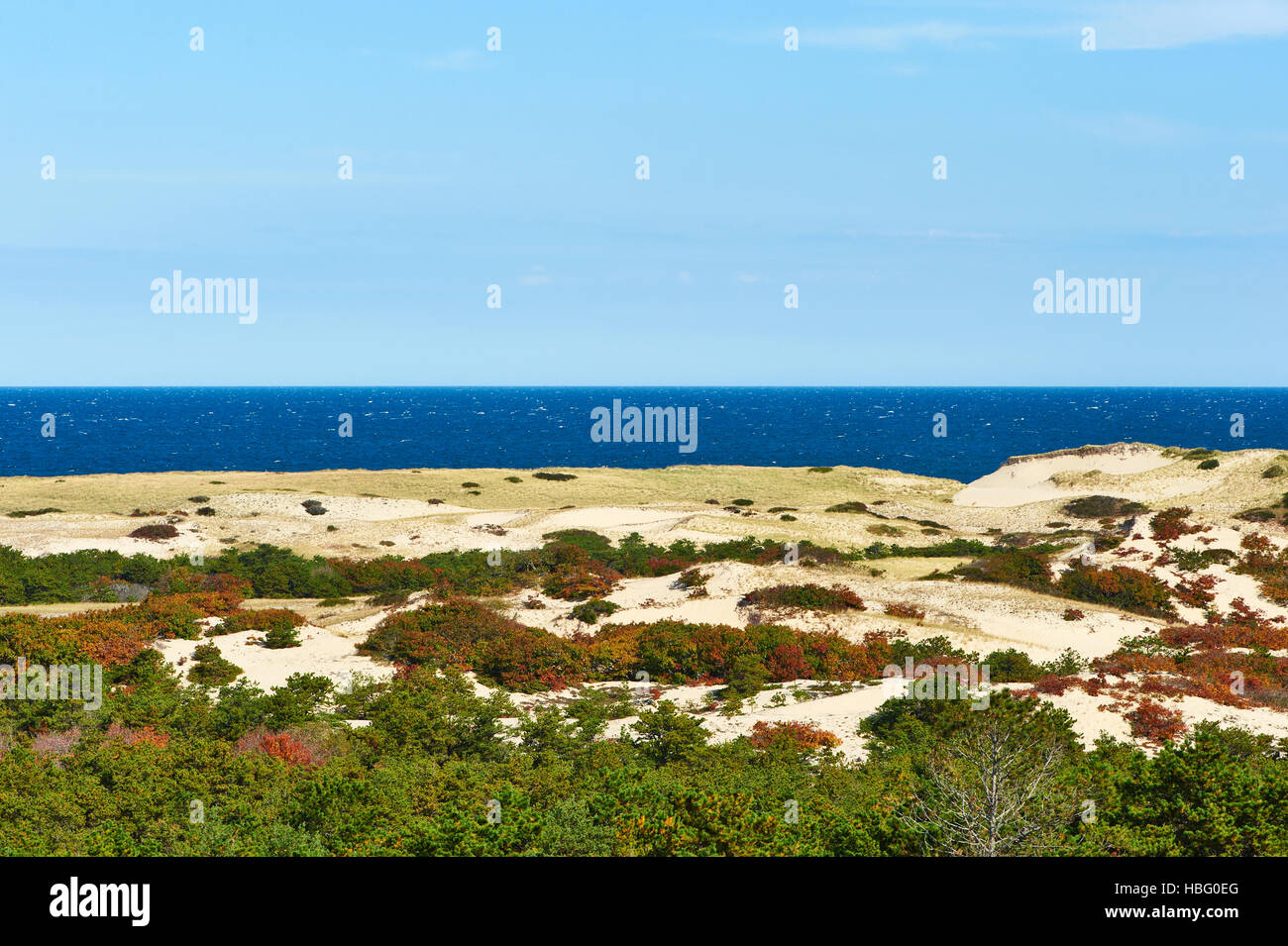 Landscape at Cape Cod Stock Photo - Alamy
