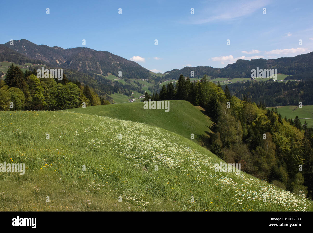 A view in an Austrian valley in the Alps Stock Photo - Alamy