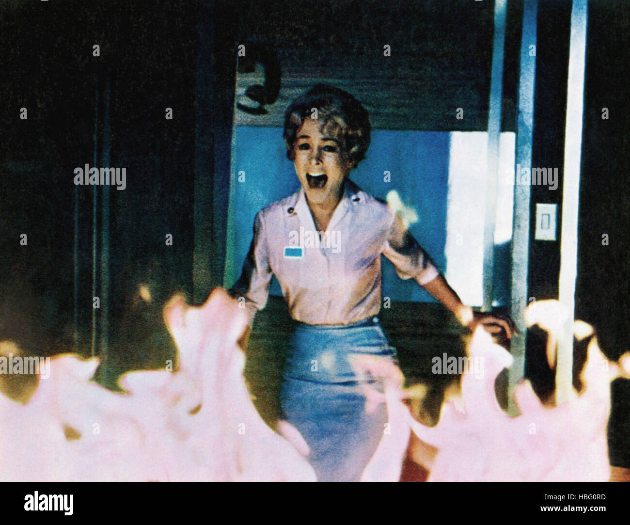 VOYAGE TO THE BOTTOM OF THE SEA, Barbara Eden, 1961, TM and Copyright ...