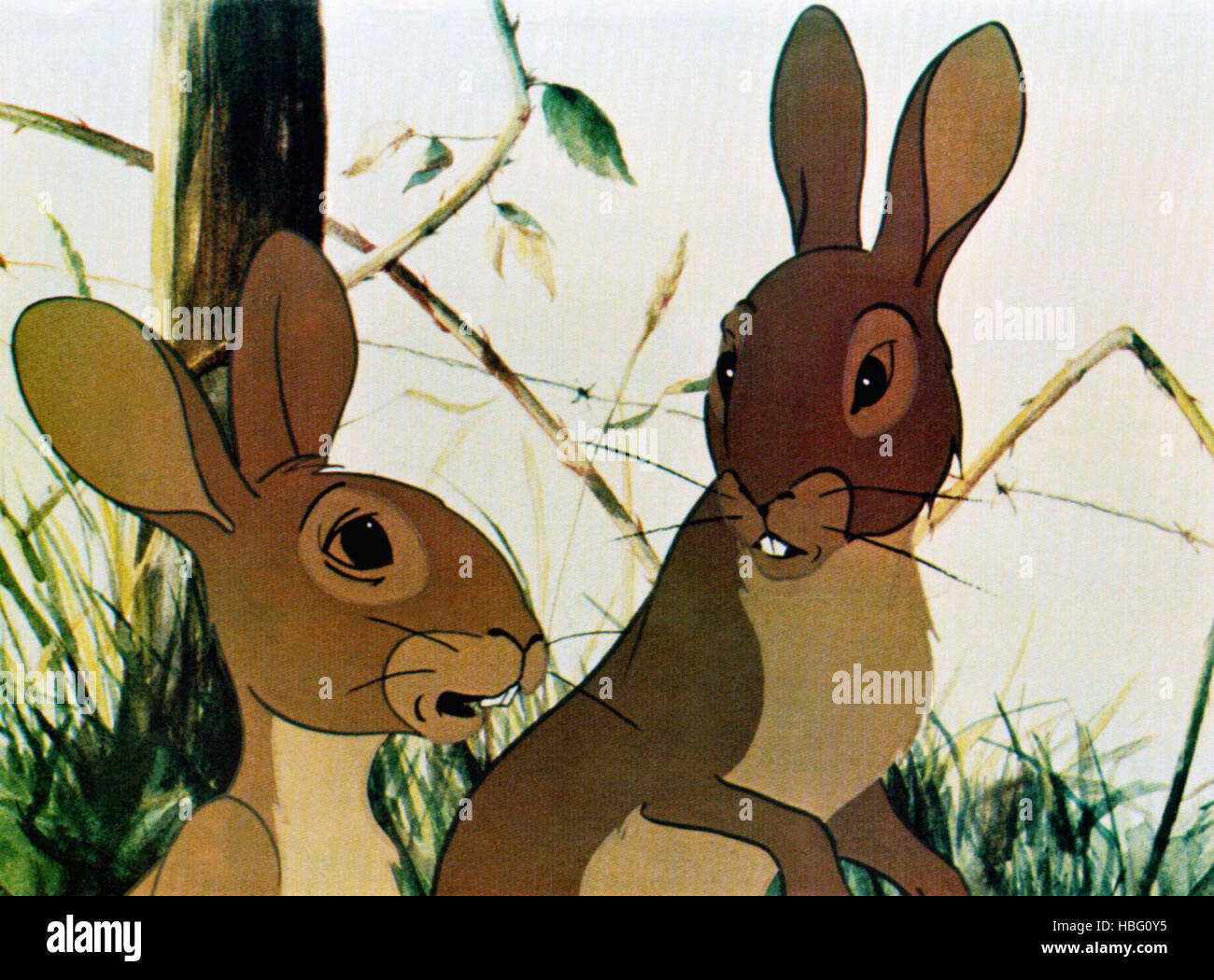 WATERSHIP DOWN, 1978, © Avco Embassy/courtesy Everett Collection Stock ...