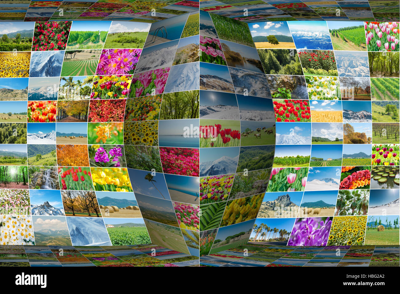 Collage of many nature photos Stock Photo - Alamy