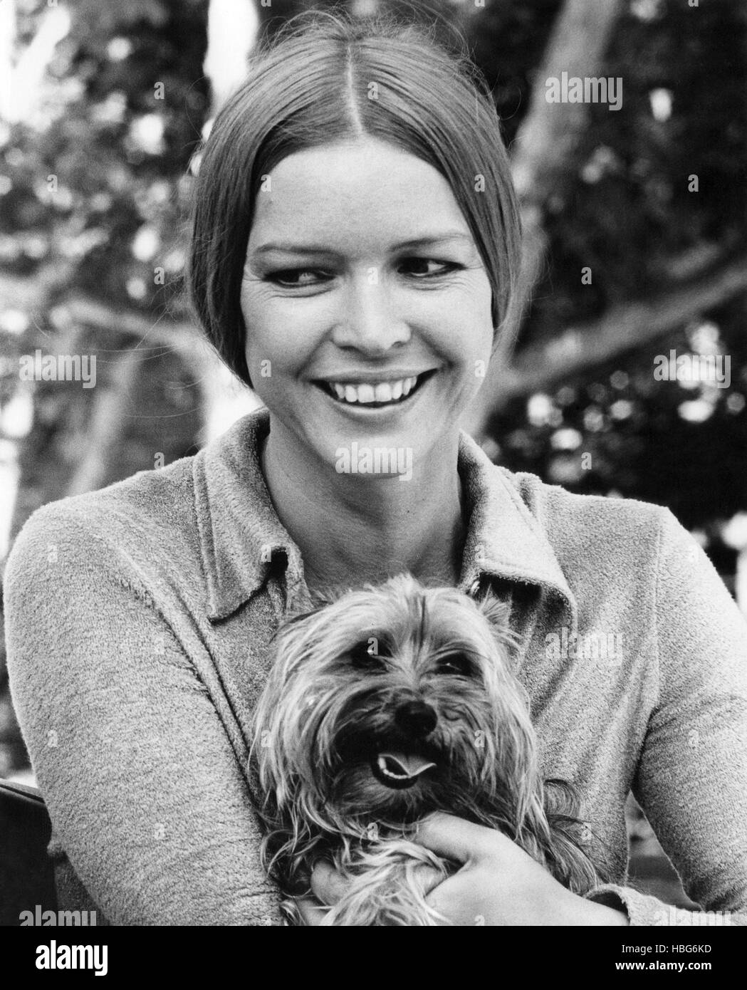 ALEX IN WONDERLAND, Ellen Burstyn, 1970 Stock Photo - Alamy