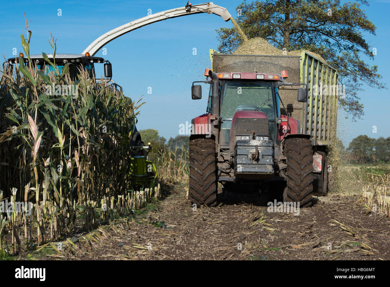 Corn choppers hi-res stock photography and images - Alamy