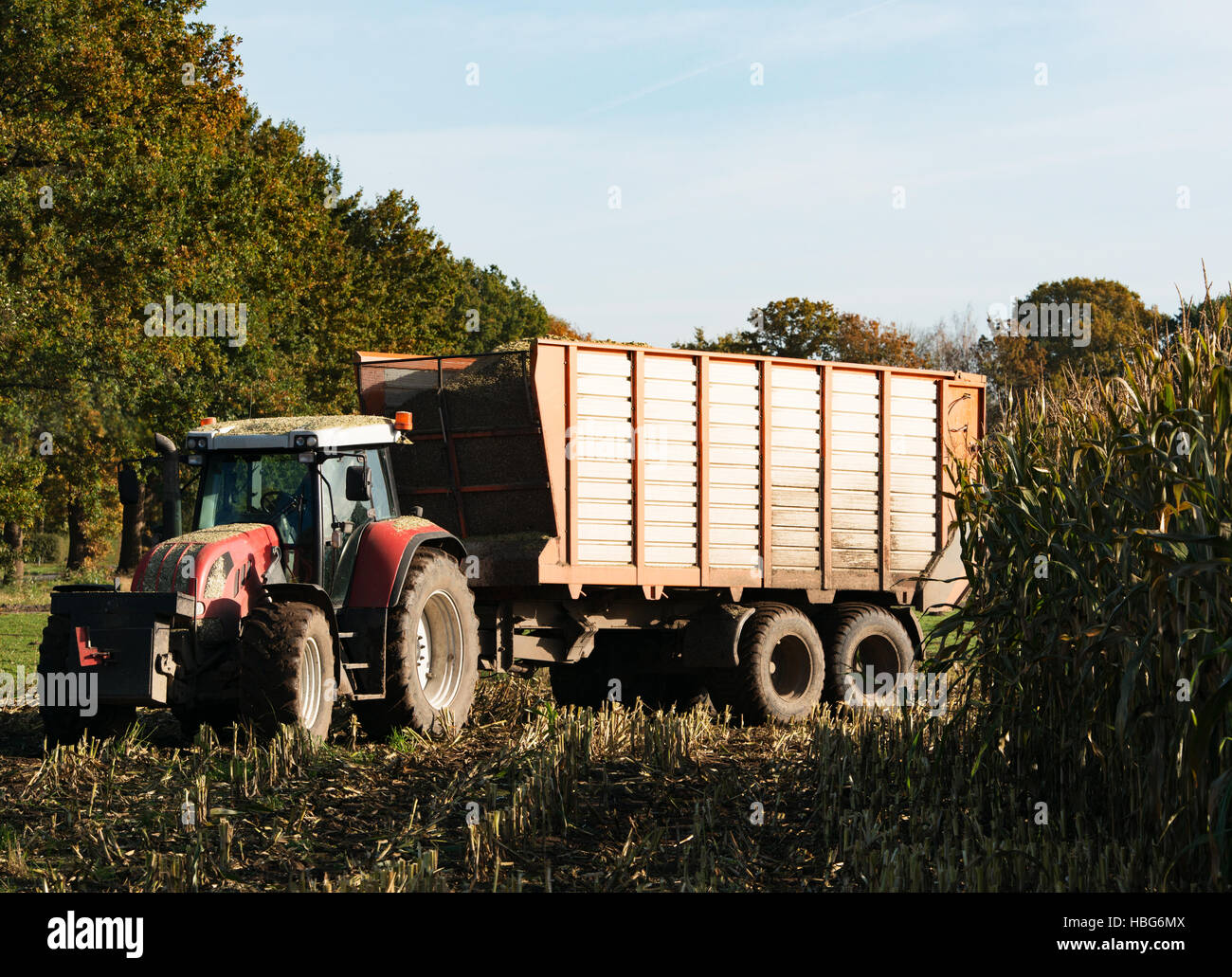 Chopper forage hi-res stock photography and images - Alamy
