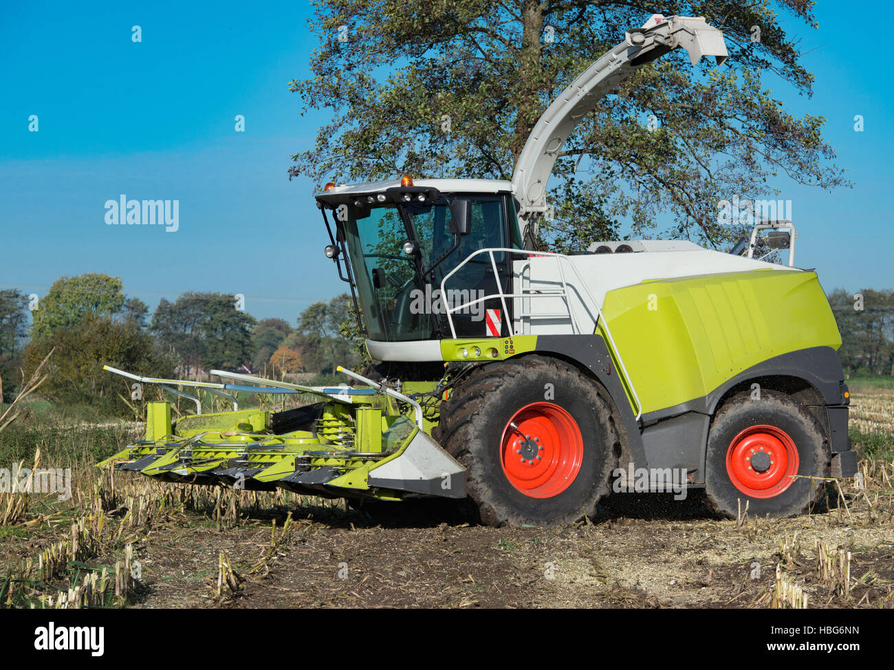 Forage at harvest of corn Stock Photo - Alamy